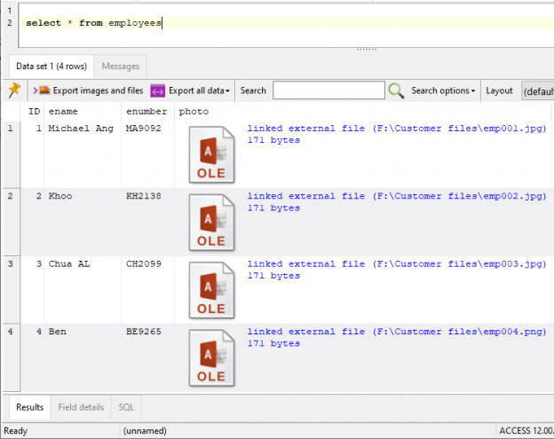 Updating linked file locations in OLE Object fields | Yohz Software Development Blog